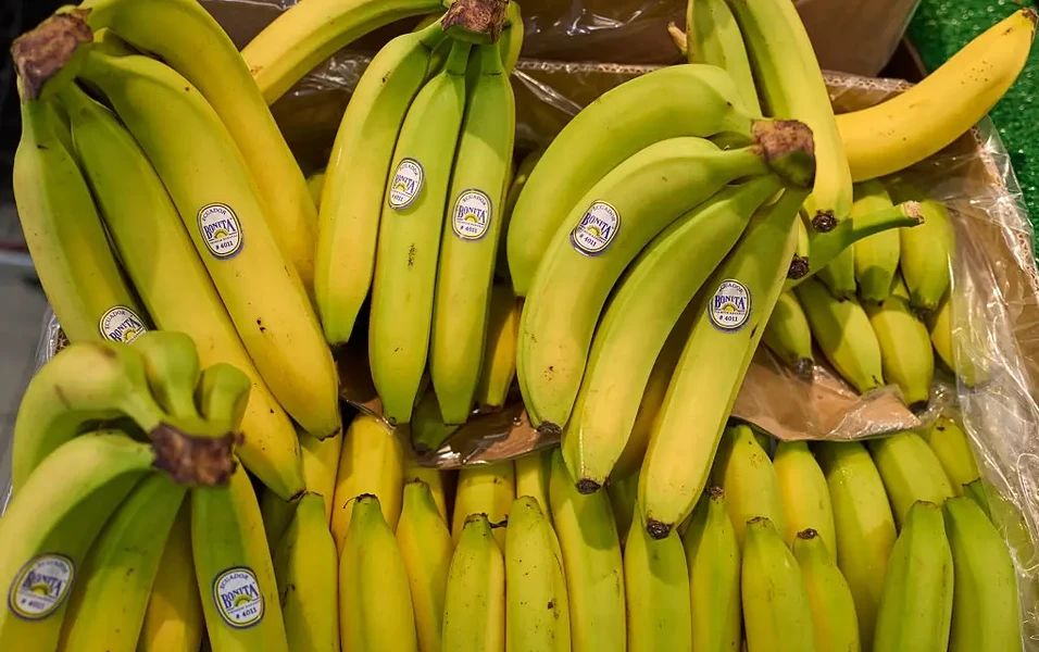 Banana lovers, your new snack obsession awaits