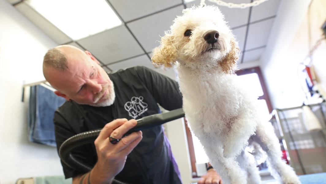 Keeping your pup happy through grooming care