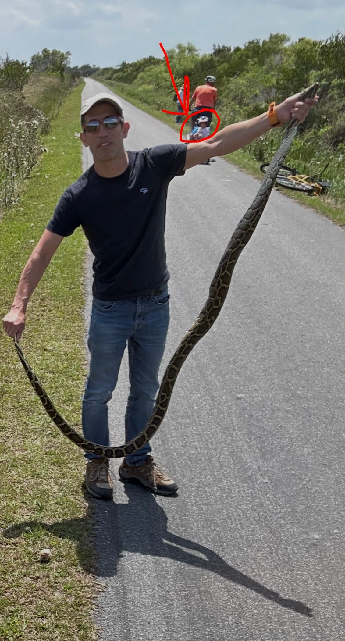 Is it legal to snag a Burmese python in a park? Not always
