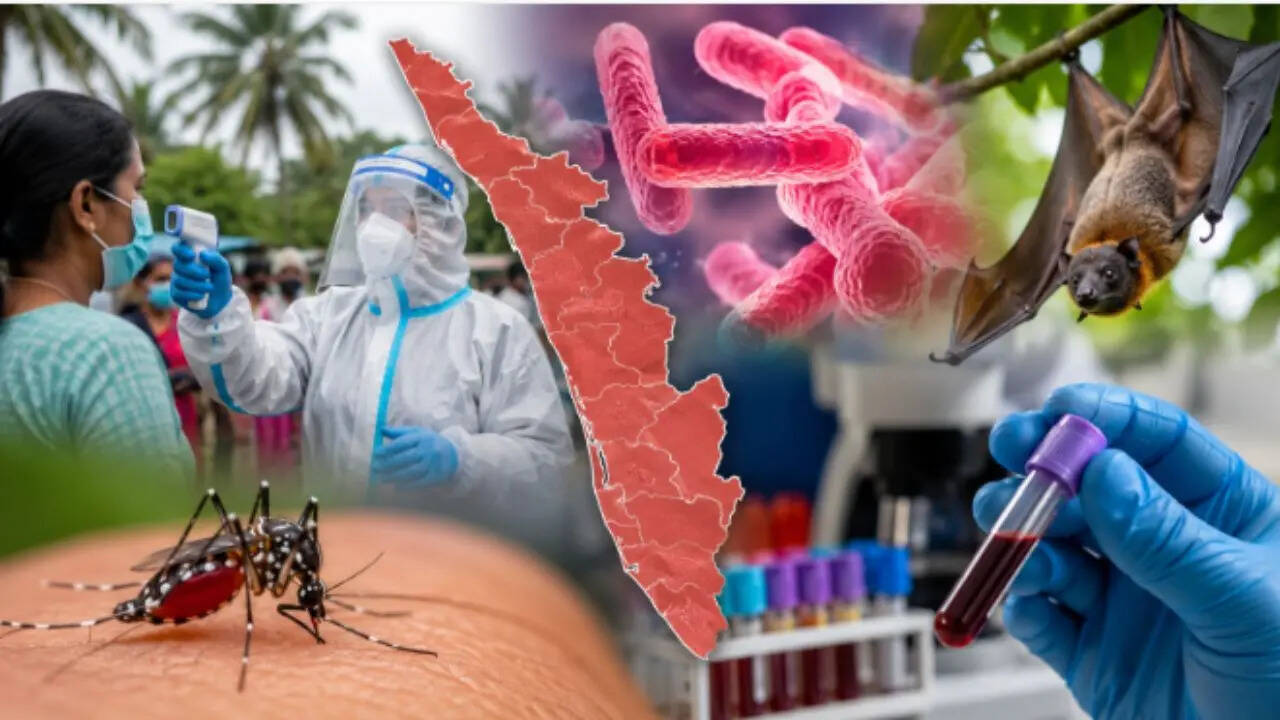 Nipah, Shigella, malaria: Why Kerala's health department is on high alert