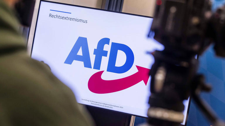 AfD: Verfassungsschutz darf gesamte Partei beobachten