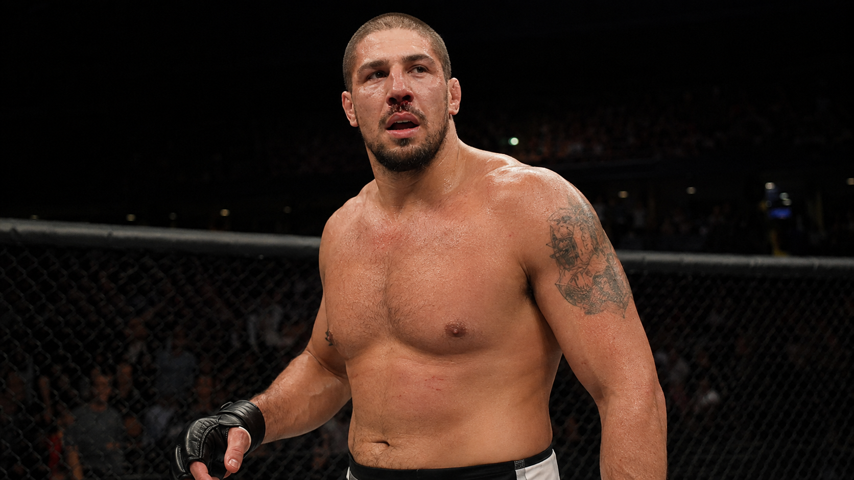 Brendan Schaub’s UFC rise ended in Dana White’s backlash