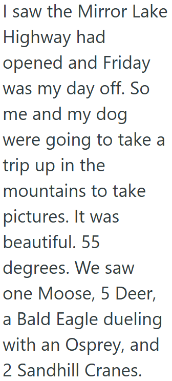 Goldendoodle found lost and scared in Utah by hiker carefully coaxed ...
