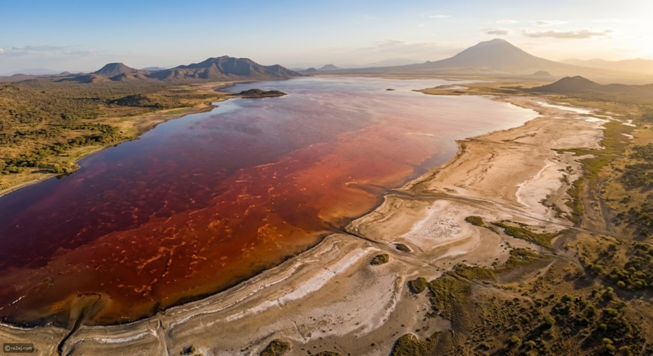 Deadly African lake turns animals into 'stone' — and the truth is even ...