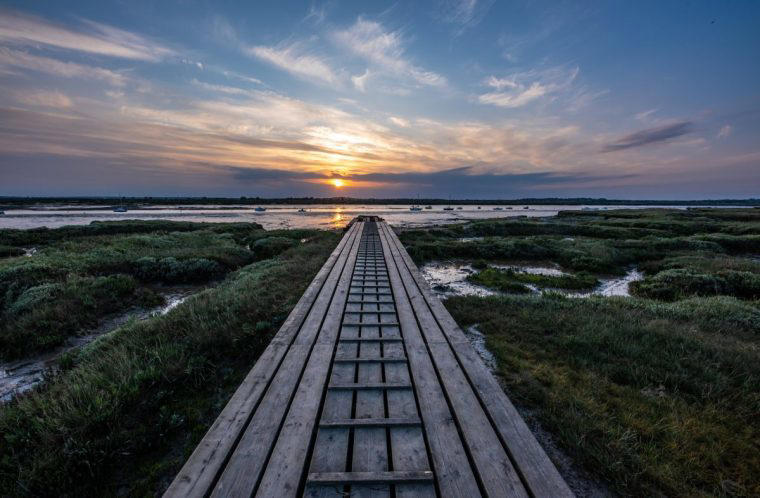 The time-capsule Essex island with quiet beaches and fresh oyster shacks