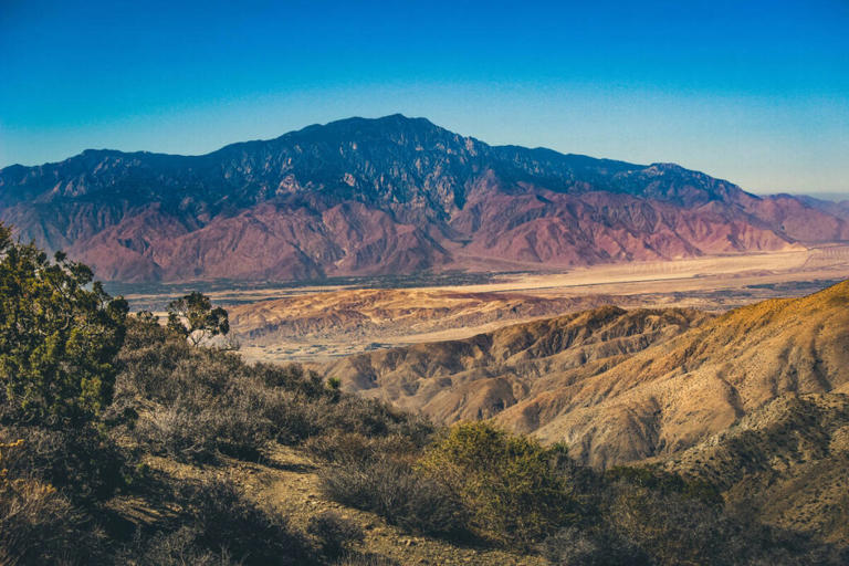 Things to do in Joshua Tree National Park: 8 best activities & stops
