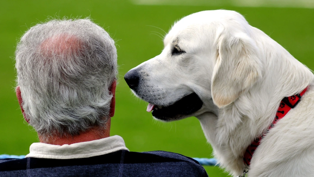 Philadelphia homes spotlight pets in evolving photography trend