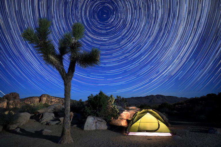 Things to do in Joshua Tree National Park: 8 best activities & stops