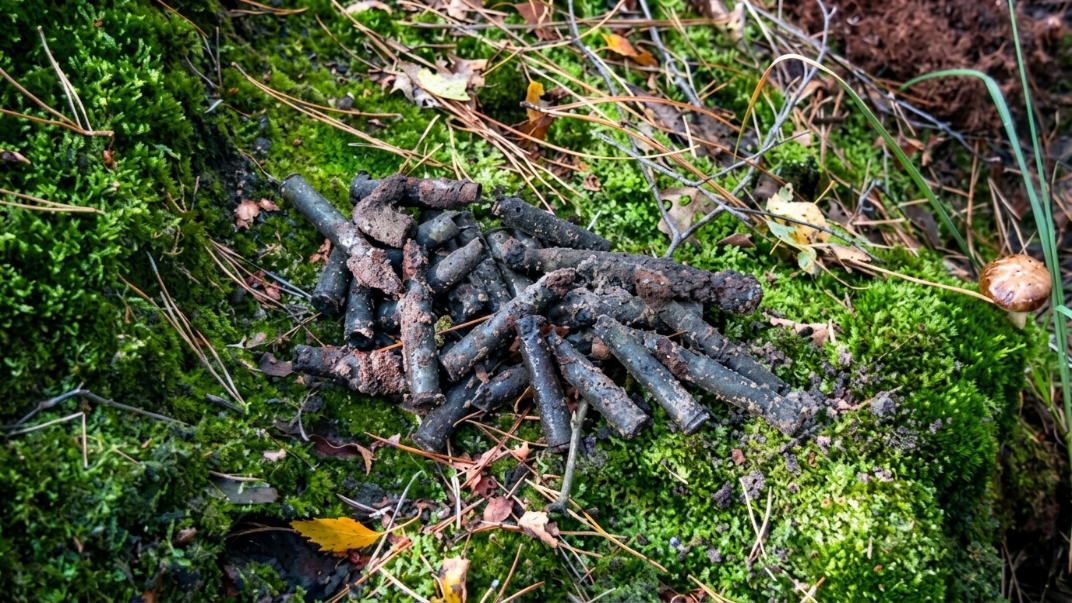 Buried WW2 relics emerge from Holland’s battlefields