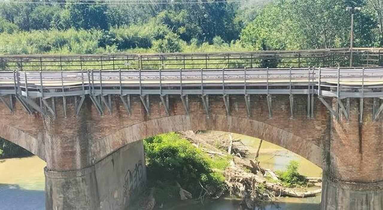 Pesaro, sparisce l’effetto diga del castoro: saranno rimossi i tronchi ...