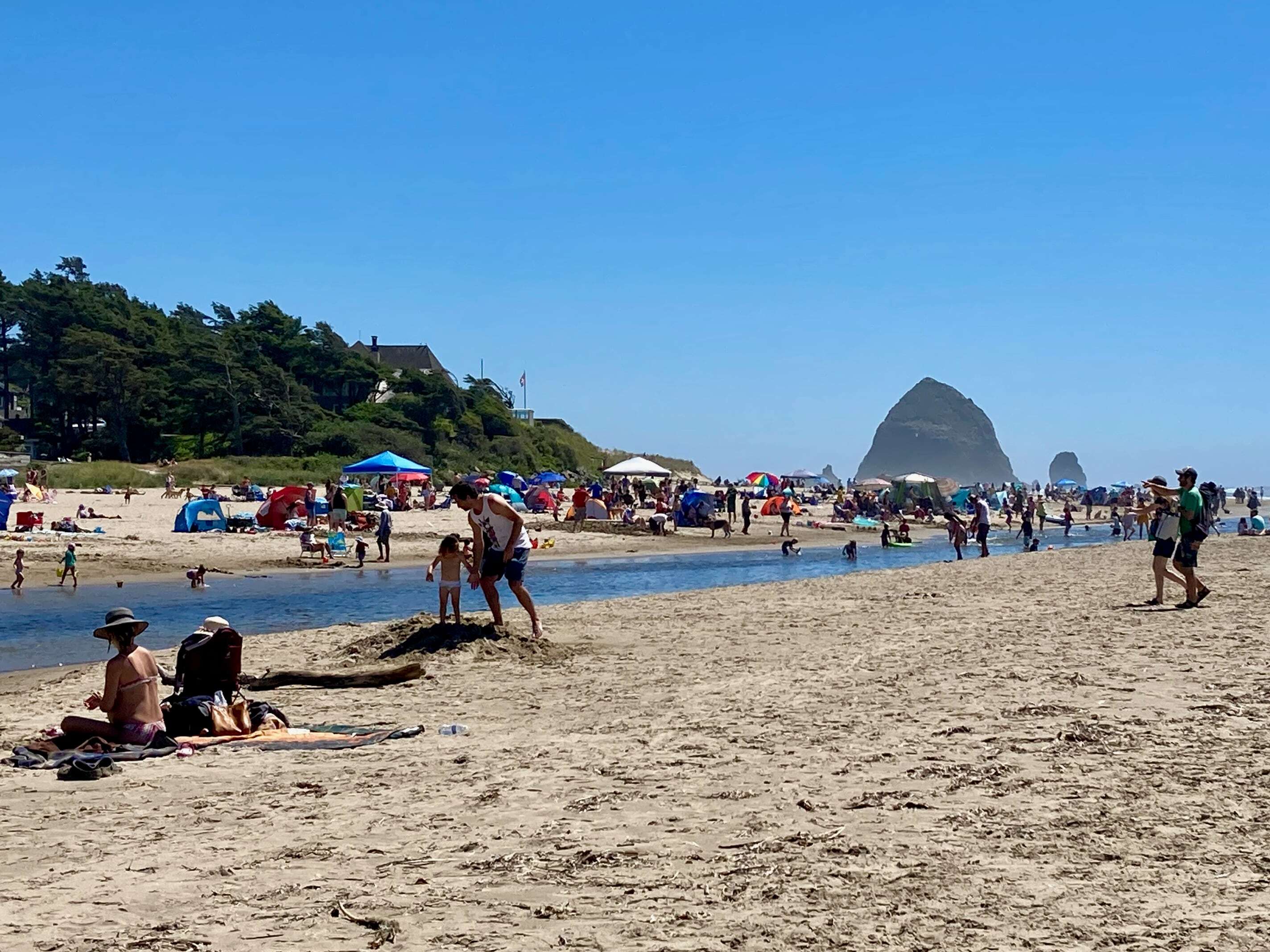Perennial poop contamination near top Oregon coast attraction may end ...