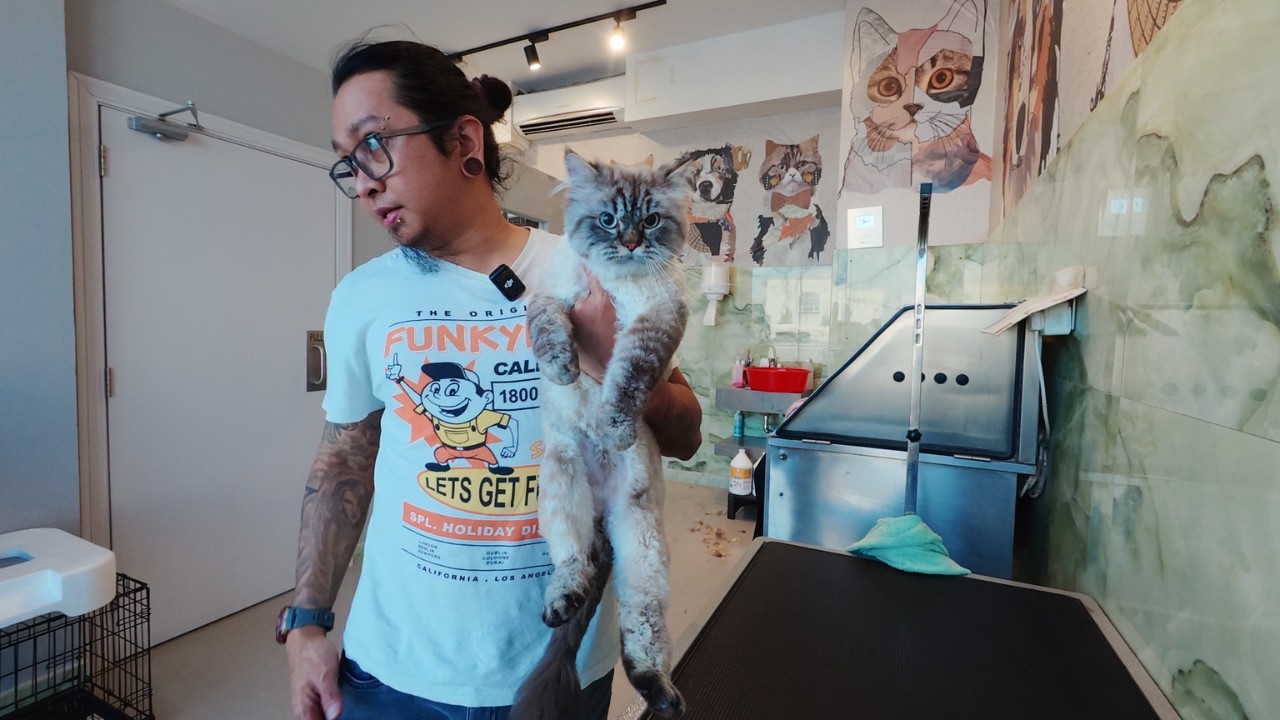 Vashi had other plans for grooming day