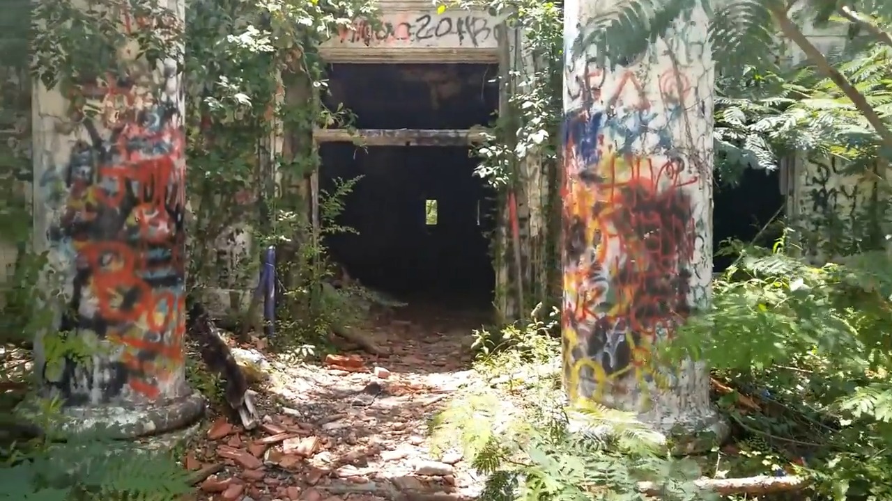 They thought the old hospital was empty - then something moved in the ...