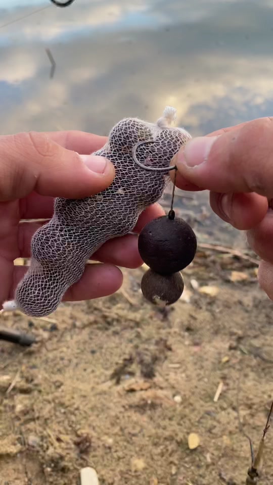 Carp fishing adventures that went viral online