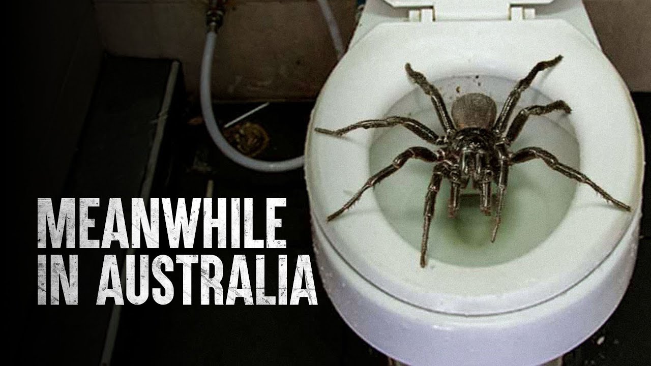 Master the extreme survival skills for even more deadly Australian animals