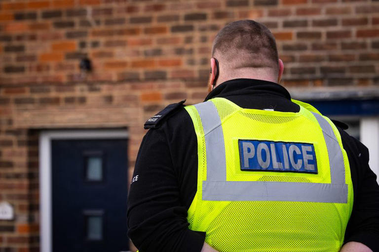 Man, 23, and girl, 16, arrested in vehicle thefts and car-jacking probe