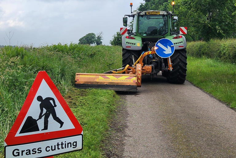 Grass-cutting verge works planned in Northumberland but 80 sites ...