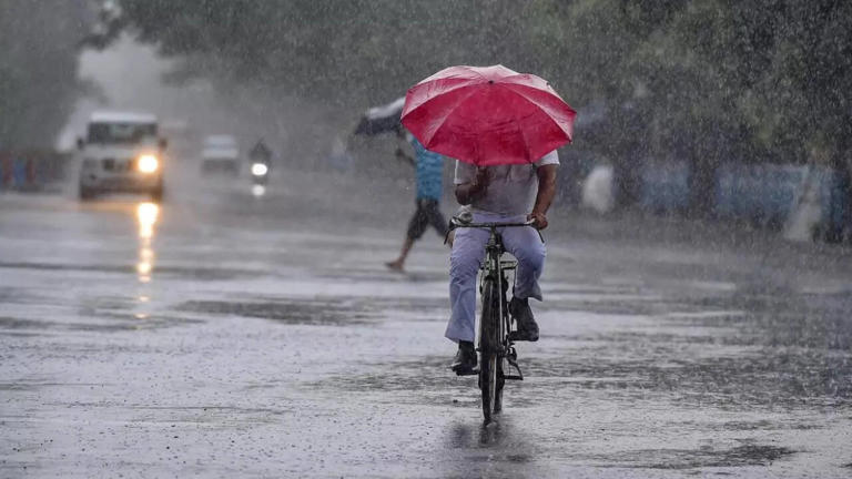 No rain, rising heat, water cuts: When will monsoon reach Mumbai? Here ...