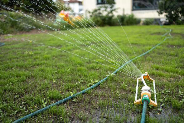 Best time to water garden plants to avoid 'irreversible damage' - not ...