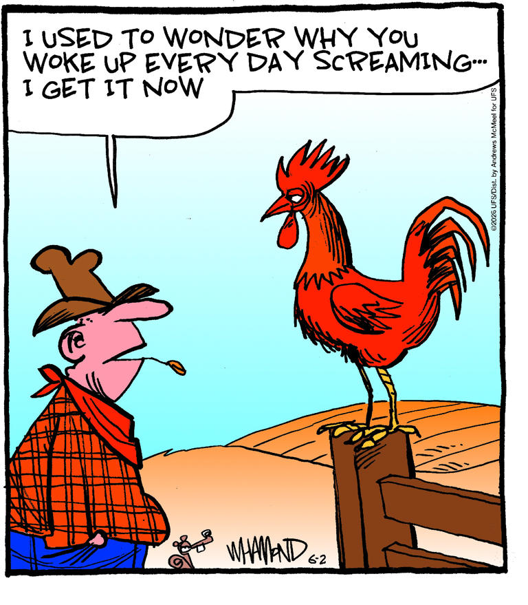 Reality check by Dave Whamond
