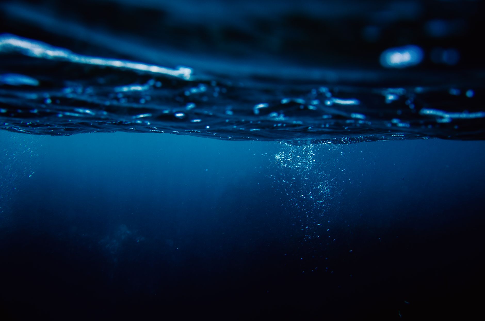 Scientists have detected something deeply alarming at the bottom of the ...