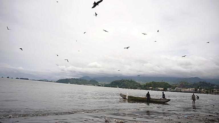 Africa urgently needs more fish farms, UN tells ocean conference