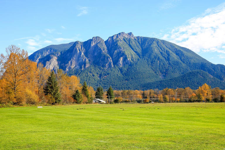 Mama bear and cub attack 3 high school students during mountain hike in ...