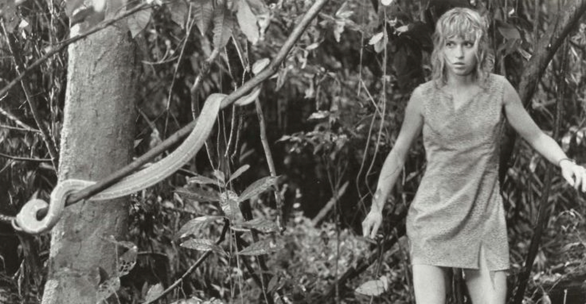 The story of how Juliane Koepcke survived the doomed LANSA Flight 508 ...