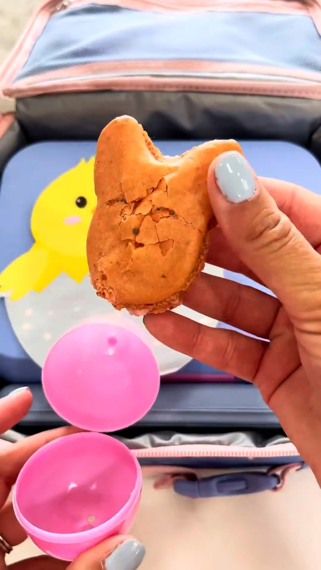 Spring holiday lunch with bunny shaped quesadilla perfect for school days
