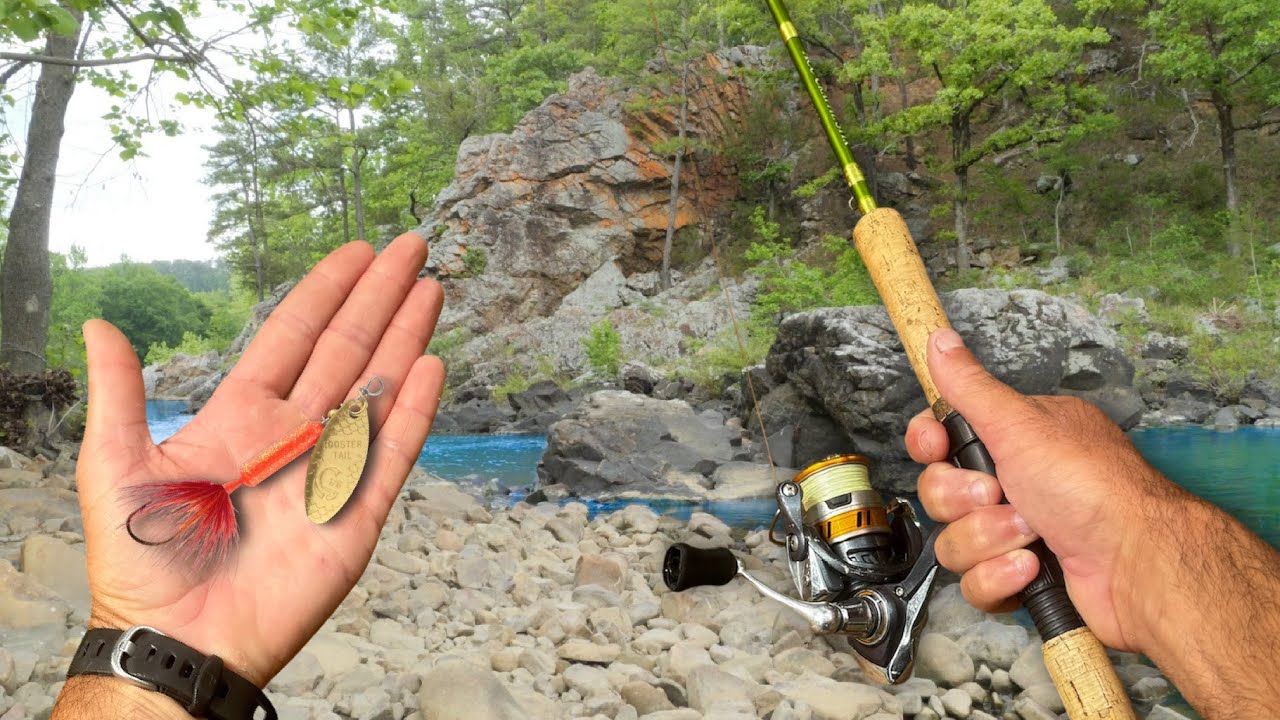 Watch us catch incredible trout using rooster tails in a mountain creek