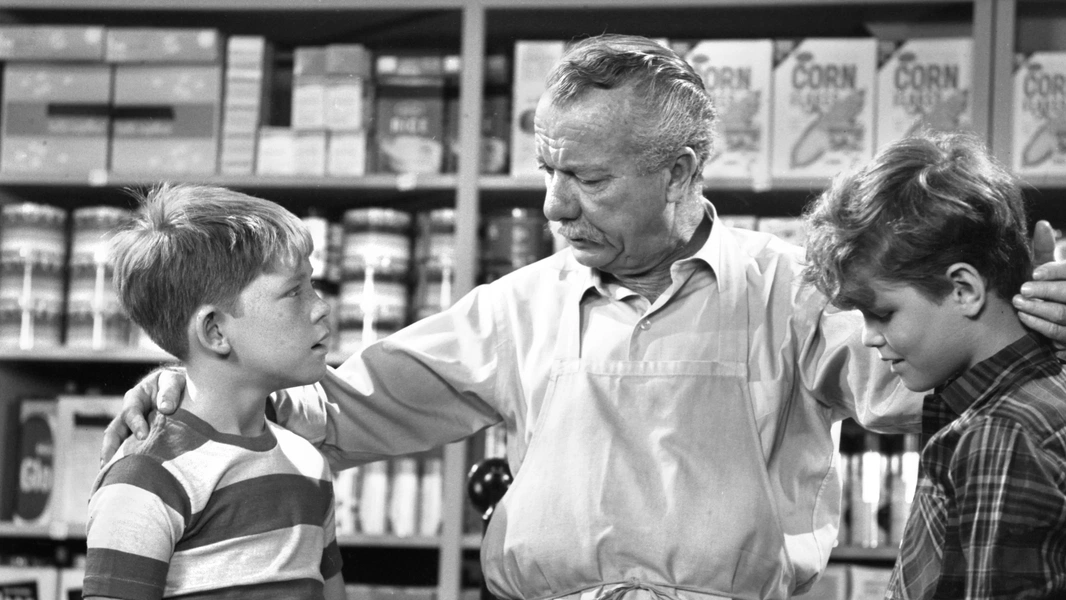 16 memorable and overlooked TV shows from 1965