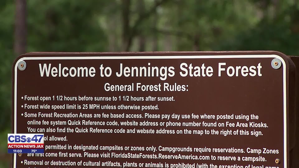 Neighbor reacts after woman was grabbed by man in Jennings State Forest