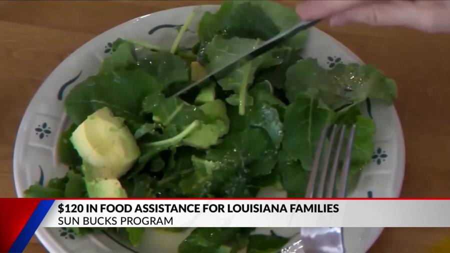 Sun Bucks Programs provides families with school aged children $120 for ...