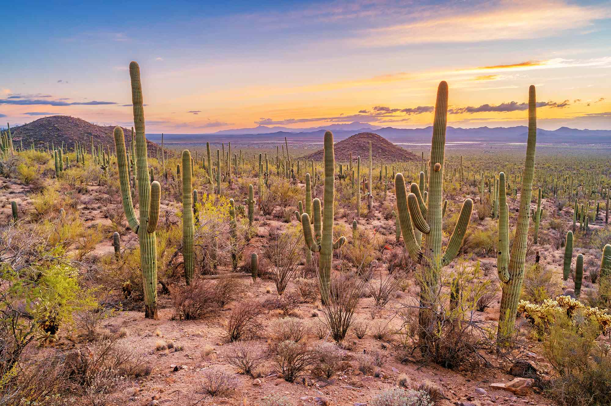 A 145-acre wildfire is burning in this beloved national park—here’s ...