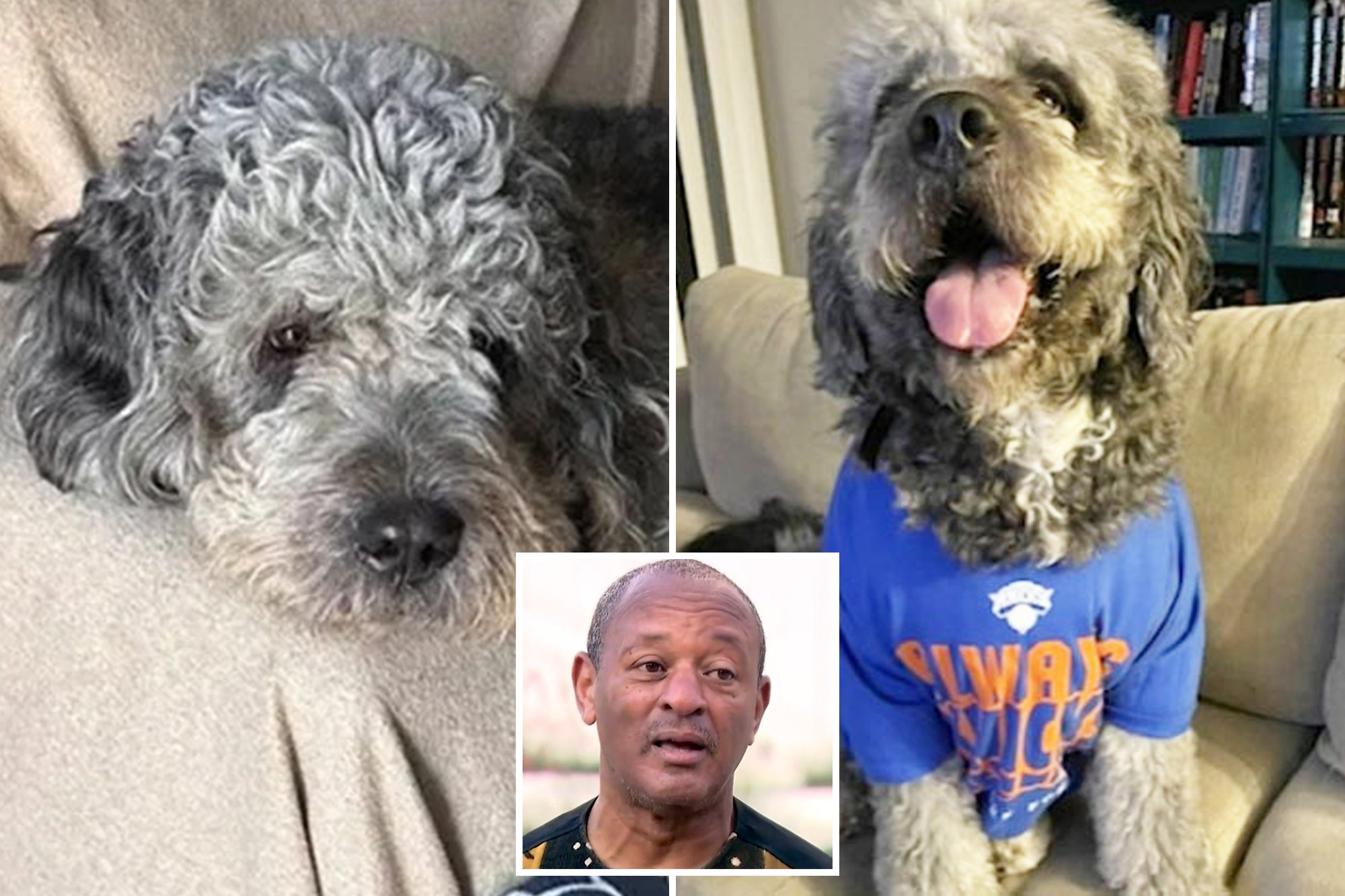 Insidious way cop-hating activists hijacked campaign for beloved dog ...