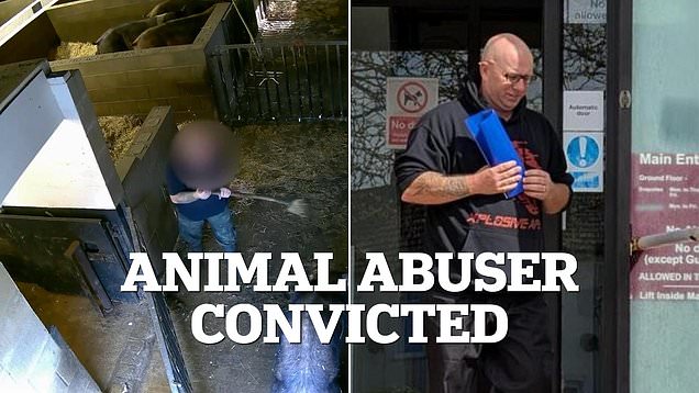 Farm worker convicted after horrific animal abuse charges