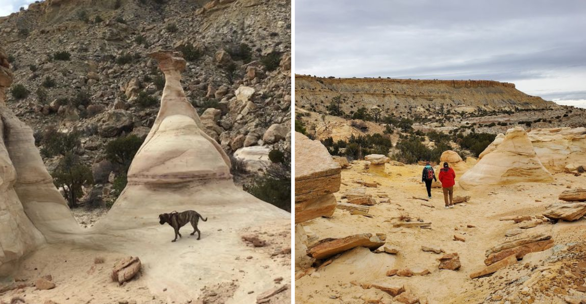The rainbow ridges of this New Mexico wilderness are so bright you will ...