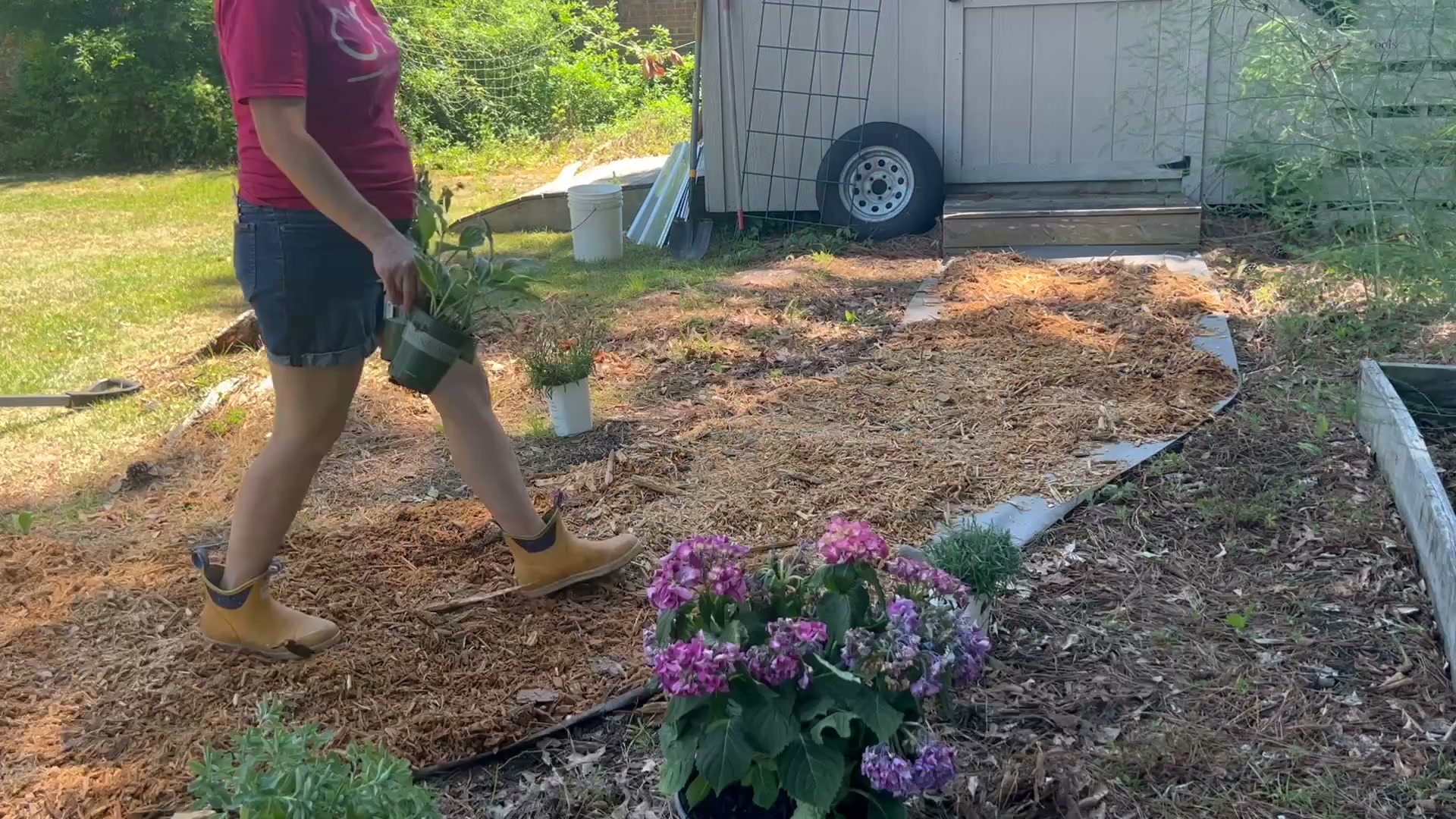 You might want to rethink your backyard space when you see this!
