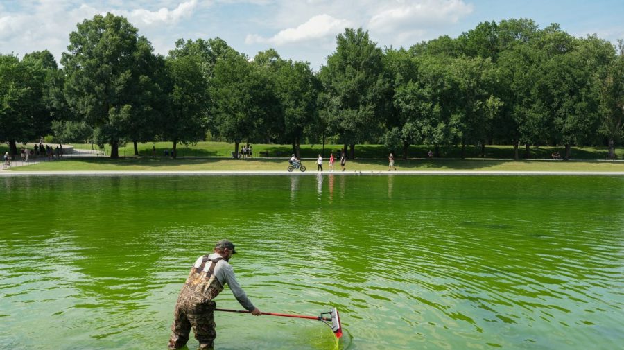 Workers dump hydrogen peroxide into reflecting pool to fight algae