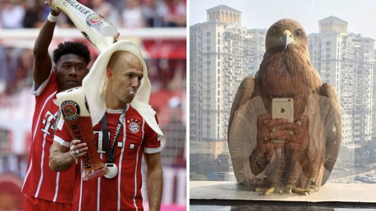 15 awesome images that prove the importance of timing