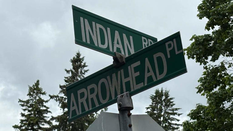 Ontario city scraps Indian Road in favour of Ojibway name