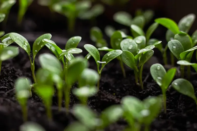 Understanding micronutrients could be your secret to an abundant ...