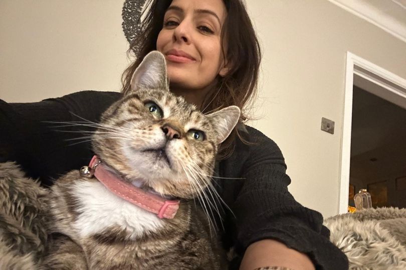 Cat caught being stolen from Bury house on Ring doorbell found dead ...