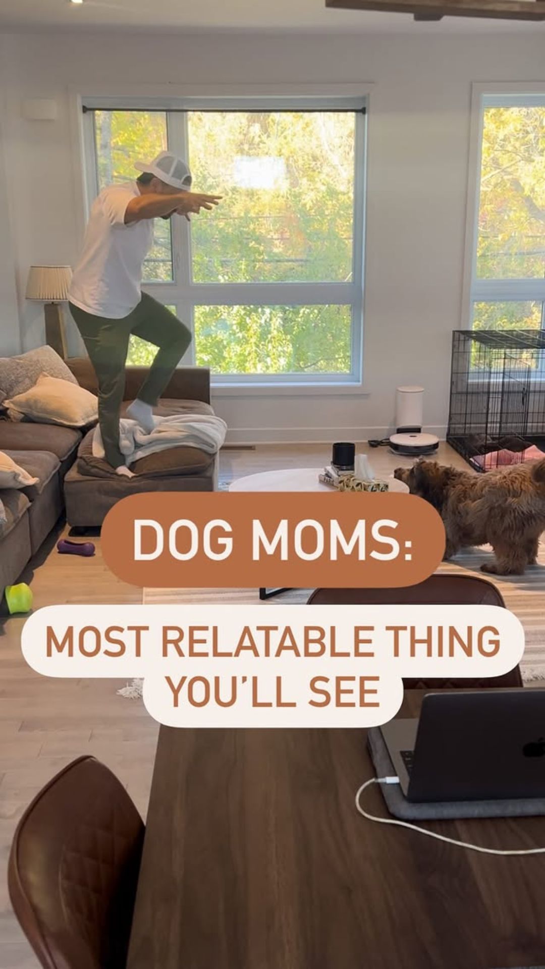 Inside dog humor: Relatable pet behavior that will make you laugh