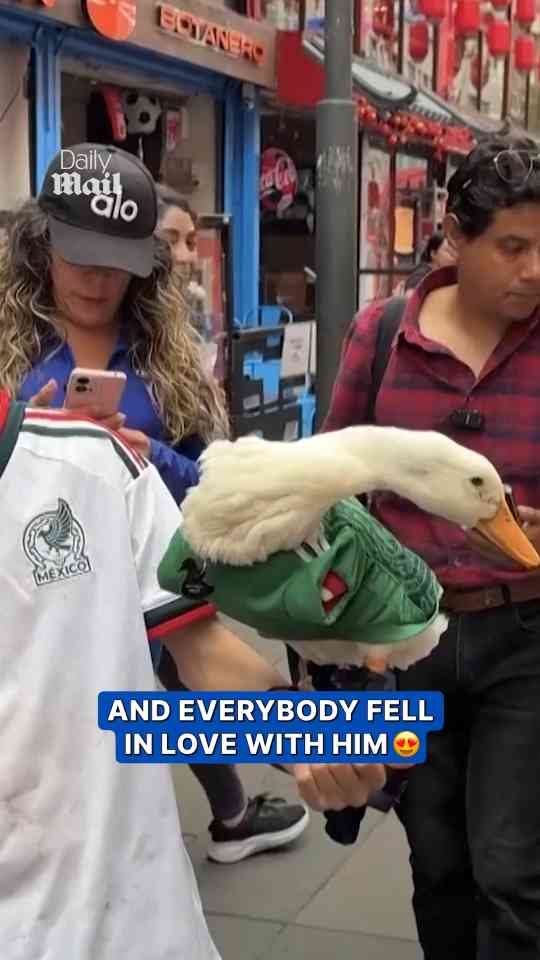 Duck in Mexico jersey becomes local celebrity