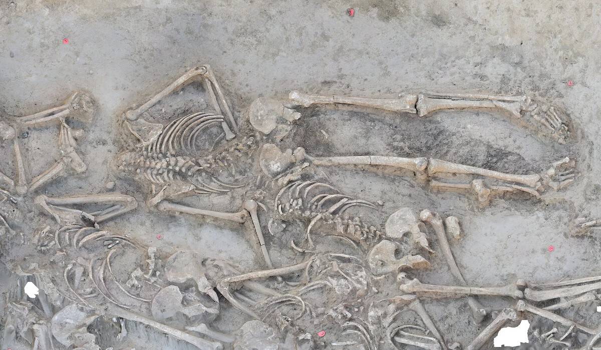 Scientists baffled by 77 headless Stone Age skeletons