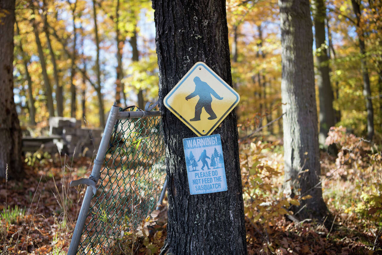 Mysterious creatures shape New York folklore
