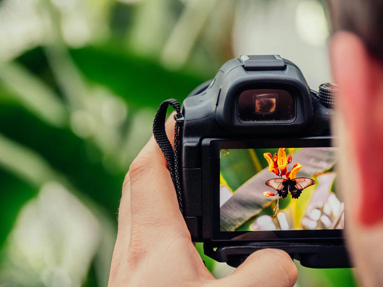 Master your camera: Pro settings in 18 easy steps
