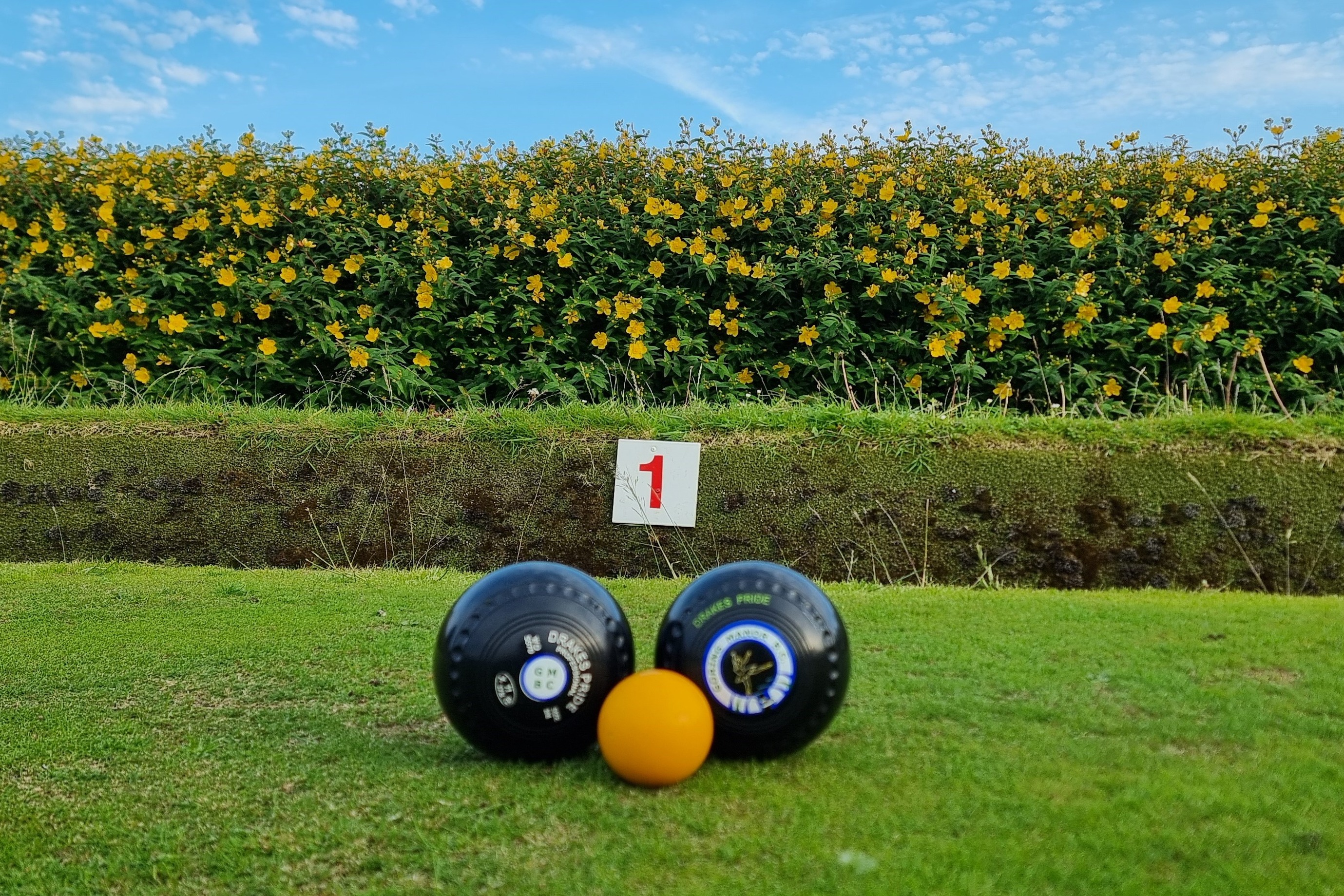 Goring Manor BC: Week in review: 9th to 15th June