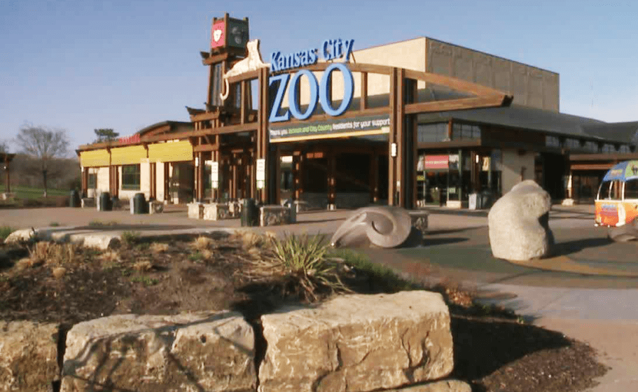 Power outage affecting some exhibits at Kansas City Zoo & Aquarium
